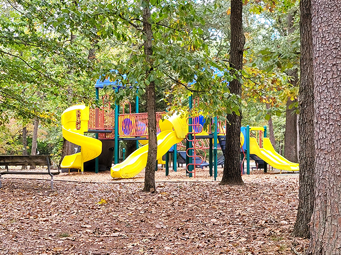 Jungle gym jitters: Martinak's playground &ndash; where kids burn energy faster than parents can say, "Don't climb that high!" Adventure awaits for the young and young-at-heart.