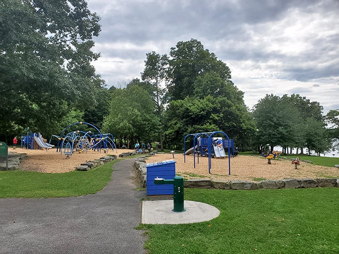 Jungle gym meets nature's playground. Kids, prepare for the ultimate showdown: monkey bars vs. actual monkeying around in the great outdoors!