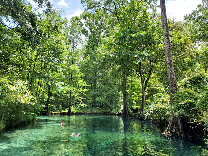 Crystal-clear waters that would make even the Little Mermaid jealous. Is this Florida or a hidden oasis from "Avatar"?