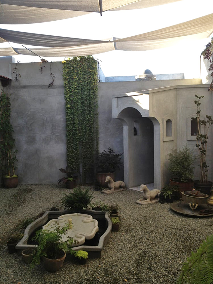 "Zen and the art of rooftop gardening." This tranquil oasis feels like a secret hideaway for time-traveling botanists and their stone pets.