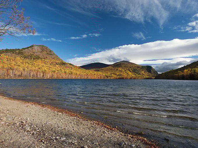 South Branch Pond: Fall's fashion show, where trees strut their stuff in a dazzling display of reds, oranges, and yellows.