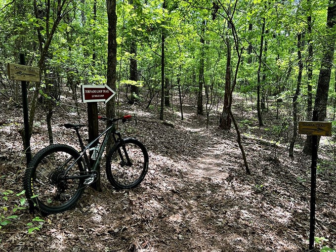 Choose your own adventure! This trail map is like a real-life game of Chutes and Ladders, minus the chutes (we hope).