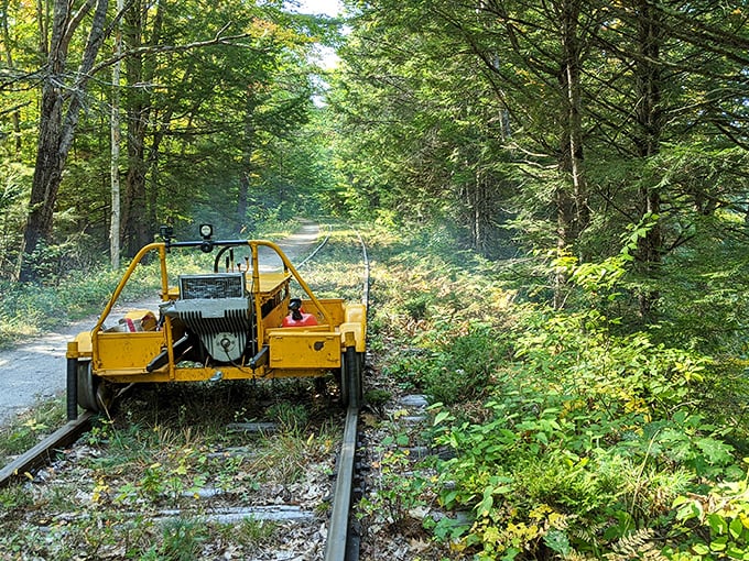 "All aboard the... wait, where's the train?" This quirky rail car in the woods adds a touch of whimsy to your woodland wanderings.