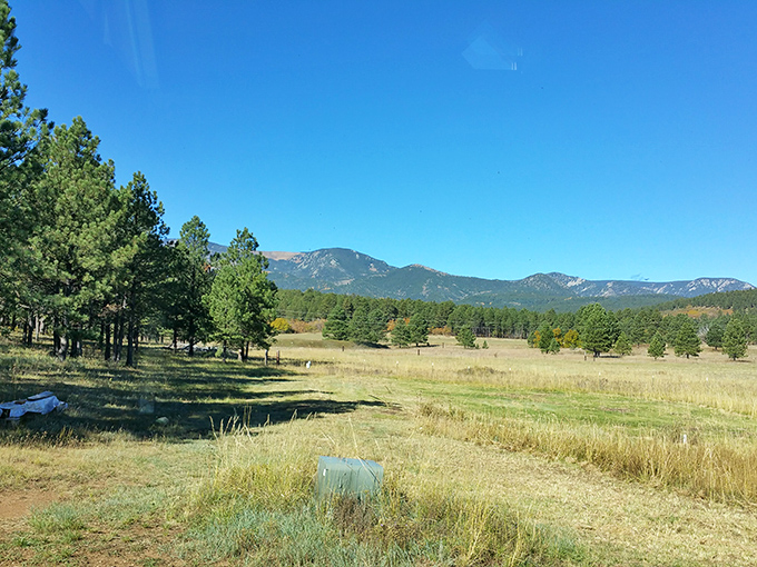 Where the wild things are&hellip; and where you wish you could be. Vast meadows stretch out before you, inviting exploration and quiet contemplation.