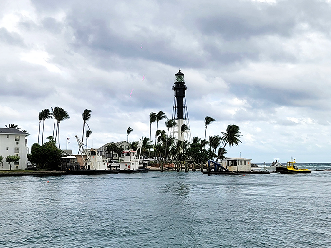 Who needs a time machine when you've got this view? It's like stepping into a vintage Florida postcard, complete with swaying palms and endless horizons.