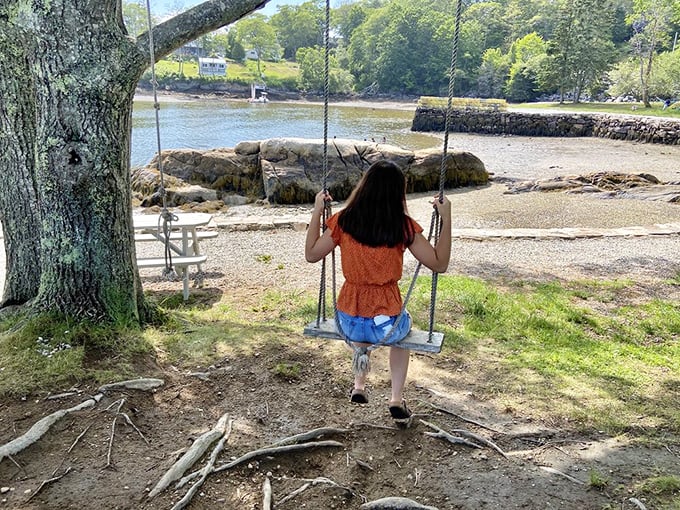 Swinging into serenity: This scene is more relaxing than a spa day. Bob Ross would call it a "happy little moment."