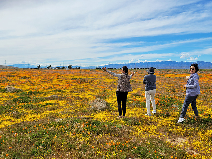 "Look, Ma, I'm in a painting!" Visitors strike a pose amidst the floral masterpiece. It's like a Bob Ross painting come to life!