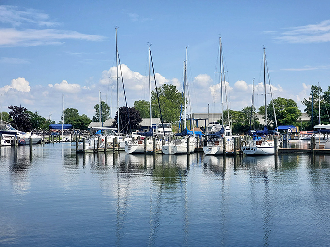 Marina, marina, marina! These boats are lined up prettier than the Rockettes. Just don't expect them to do high kicks.