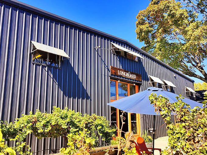 Wineries: Industrial chic meets vineyard dreams. This winery looks like it could host both a hipster wedding and a serious wine tasting. Talk about versatile!
