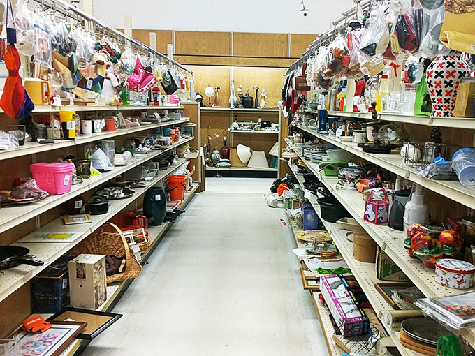 An aisle that could tell a thousand tales. From knick-knacks to paddy-whacks, it's a journey through the odds and ends of life.
