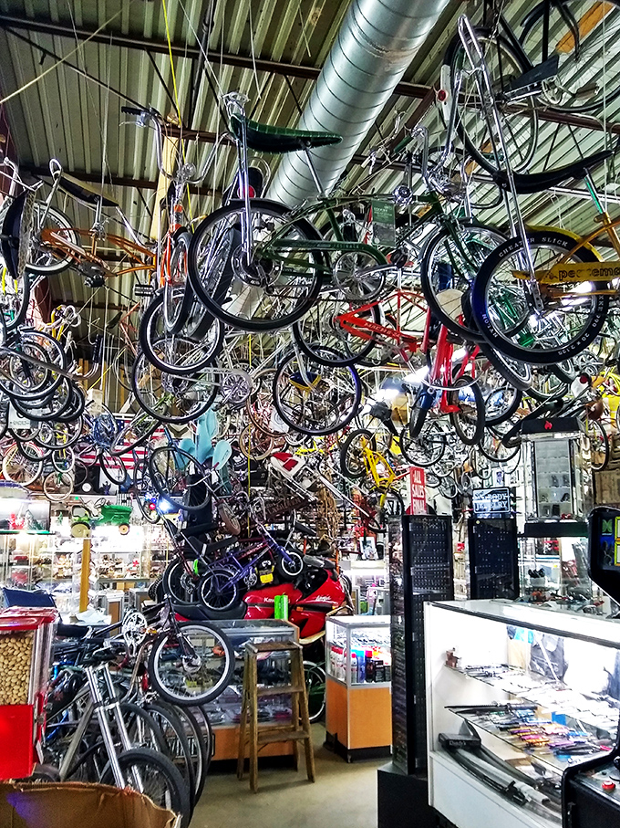 Pedal pushers, prepare to be amazed! This bicycle bonanza has enough two-wheelers to outfit the Tour de France, or at least a very ambitious family reunion.
