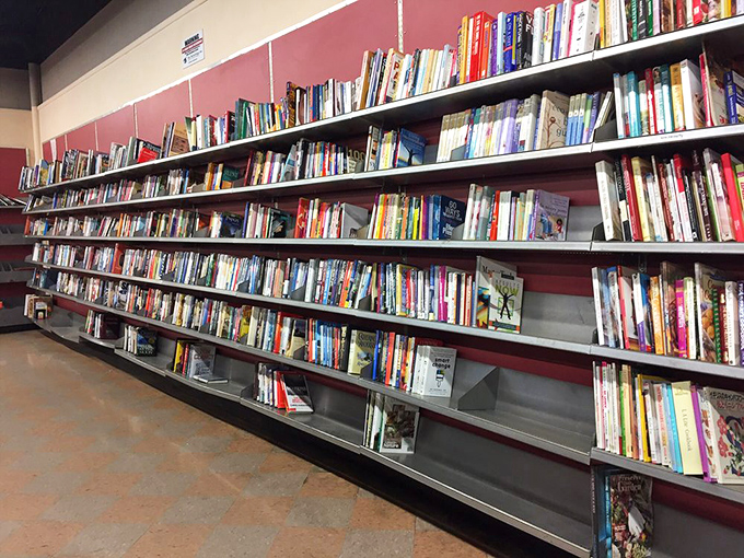 Bookworms, prepare to get lost in literary heaven! From dog-eared paperbacks to leather-bound tomes, there's a story for every reader.