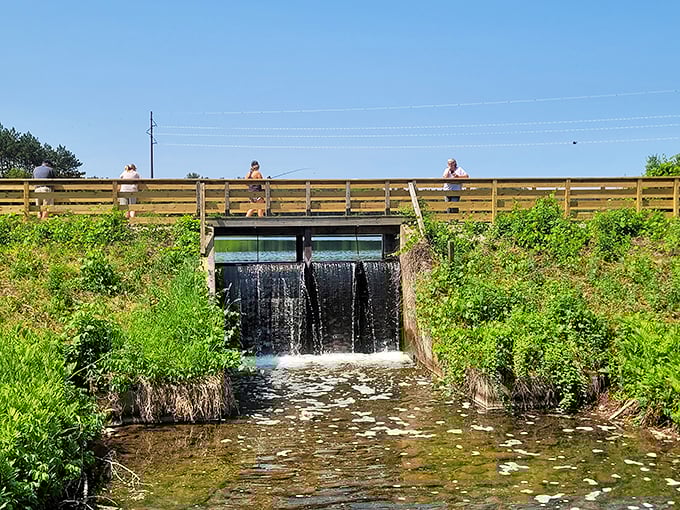 Bridge over bubbling waters. This picturesque scene is like something out of a Monet painting, but with more Wisconsin charm.