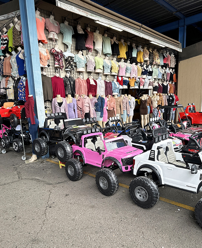 Fashion for days! From toddler tees to grown-up garb, this clothing cornucopia has something for every body and everybody.