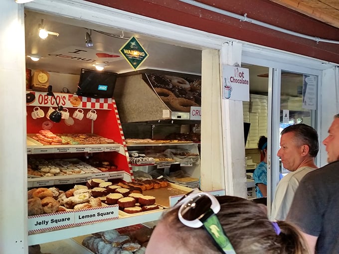 Step right up to donut heaven! The counter at Ob-Co's is like a backstage pass to the sweetest show on earth.