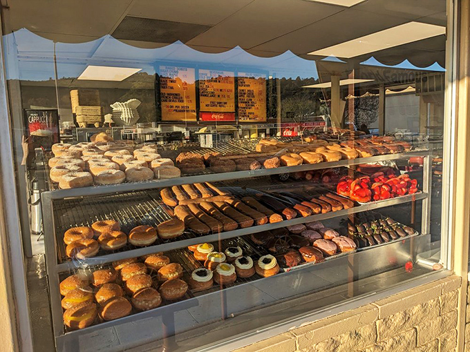 Step right up to the greatest show on earth! This display case is like a museum of edible art, each donut a masterpiece waiting to be devoured.