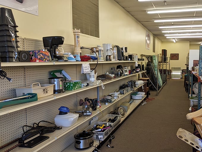 Gadget graveyard or tech treasure trove? This aisle of electronic odds and ends is where obsolete meets opportunity for the savvy tinkerer.