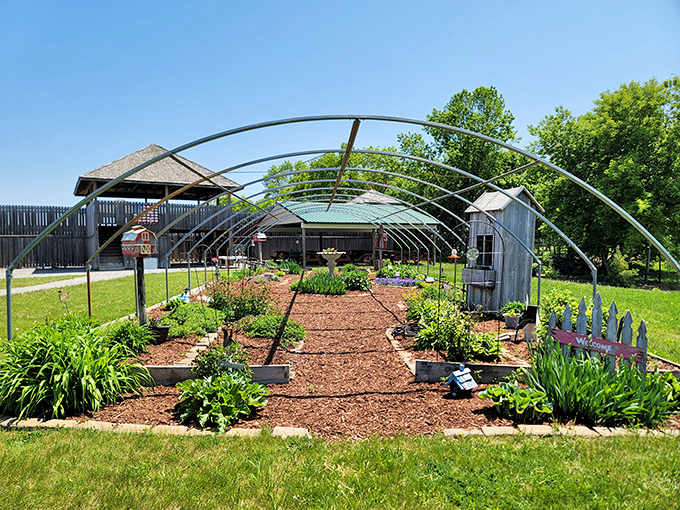 "Garden of eatin'! This charming veggie patch is like a real-life Farmville game. No need for a green thumb - just a sense of wonder and maybe a growling stomach."
