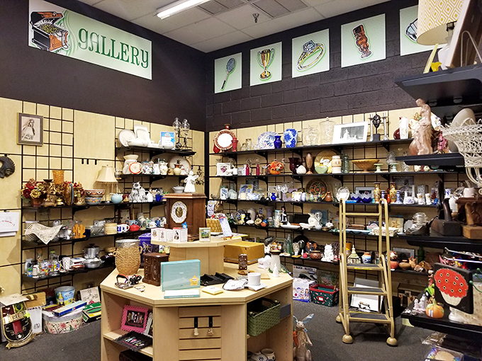 From knick-knacks to bric-a-brac! Bookmans' gallery is a treasure trove of quirky finds that'll make your inner collector squeal with delight.