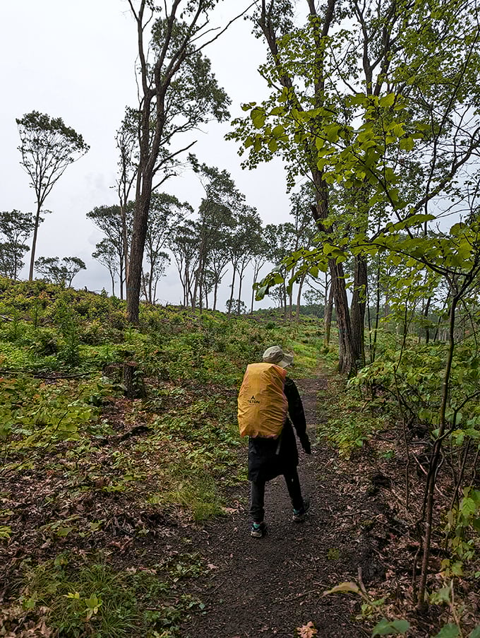 Trailblazer in action: Armed with a bright backpack and determination, this hiker is ready to conquer Wisconsin's wild side.