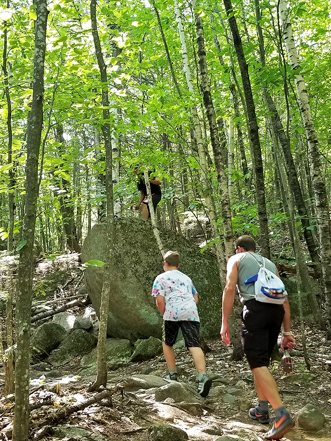 "I think that boulder is giving me the side-eye." Family hiking adventures in Bridgton – where nature meets nurture, and everyone pretends they're not out of breath.