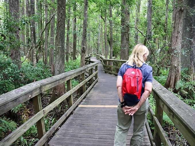 Hiking in Highlands Hammock: Where every turn reveals a new Florida wonder. It's like being in an episode of Planet Earth, but you're the star.