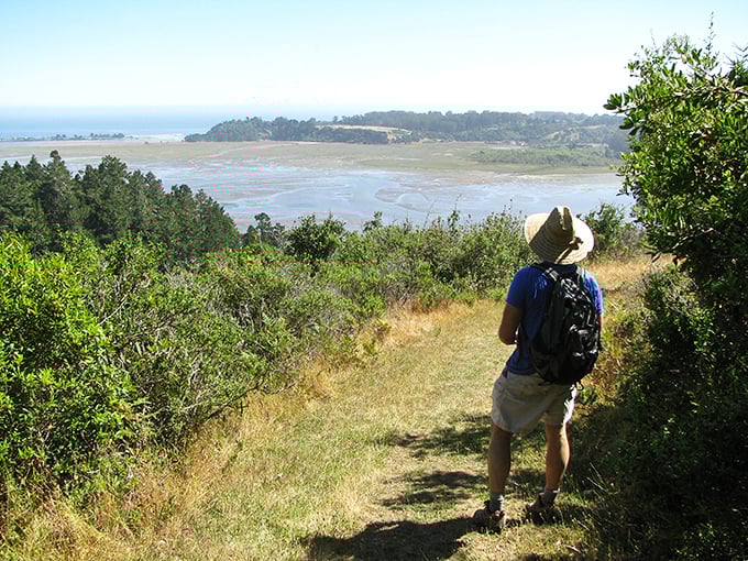 Hiker's heaven or nature's StairMaster? This trail offers breathtaking views and a workout that puts your gym to shame.