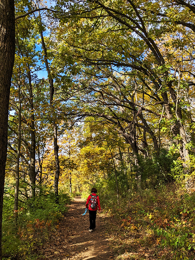 Fall in Lodi: where the trees put on a show that rivals Broadway. No ticket required, just bring your sense of wonder.