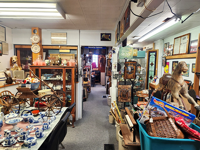 Welcome to the land of "I didn't know I needed that!" This aisle is a gauntlet of temptation for vintage lovers and upcycling enthusiasts alike.