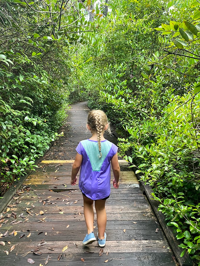 Little explorer, big adventure. This pint-sized pioneer is blazing trails and melting hearts, one step at a time.