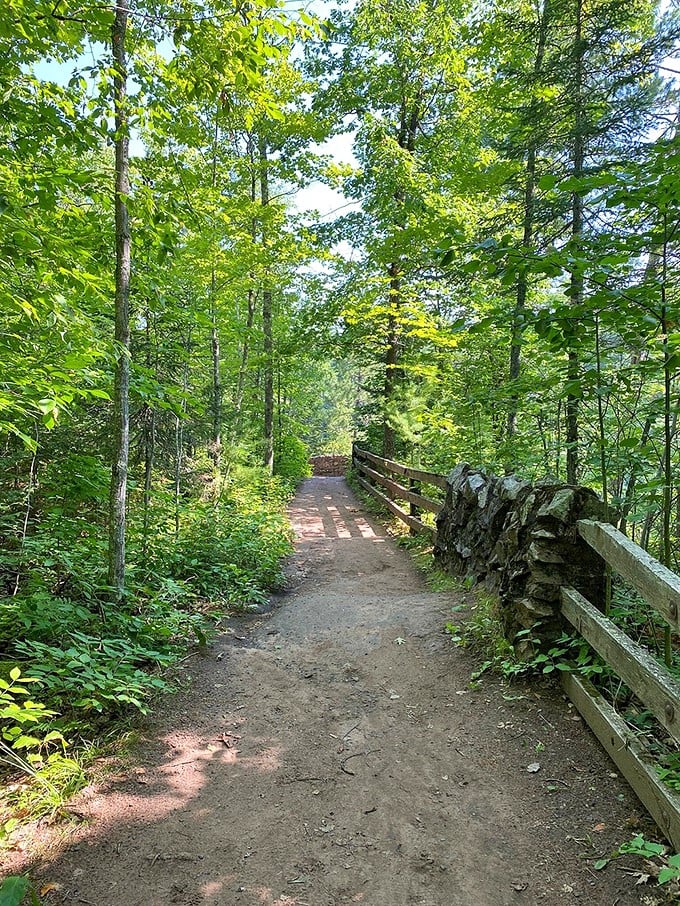 "Into the woods we go..." This inviting trail looks like it could lead to Narnia or your next great story.