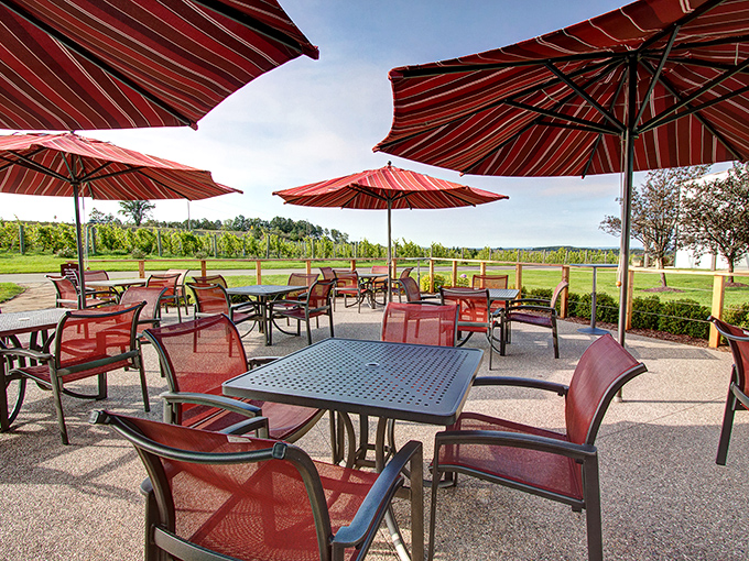 Umbrella-shaded oasis: Where every sip comes with a side of vineyard views. Al fresco never looked so inviting.