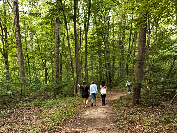 Follow the leader into a world of wonder. These trails are like nature's choose-your-own-adventure book &ndash; every turn brings a new story!