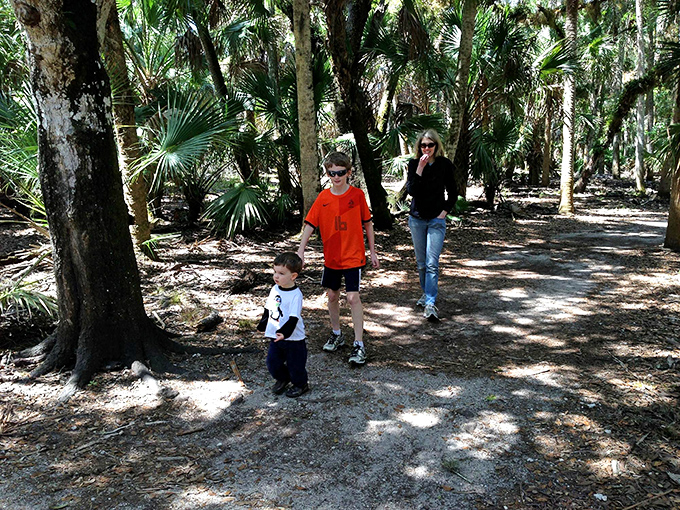Who says you can't walk on water? This boardwalk lets you glide over Florida's liquid landscape like a modern-day Moses.