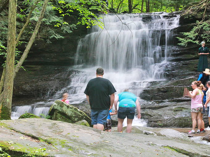 "Waterfall watching: Ohio's version of whale watching." Smaller splashes, but equally captivating for these curious onlookers.