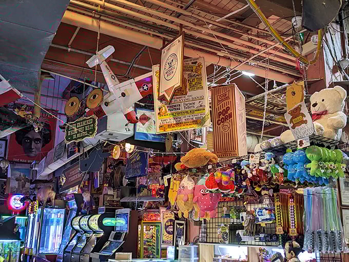 Stuffed animals, plastic trinkets, and dreams of jackpot glory. It's a plush menagerie where skill meets chance, and everyone's a winner (of something, at least).