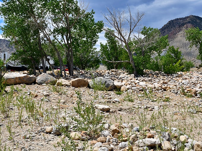 Drought got you down? Mother Nature's artistic side shines through in these cracked earth patterns. Abstract art, au naturel!