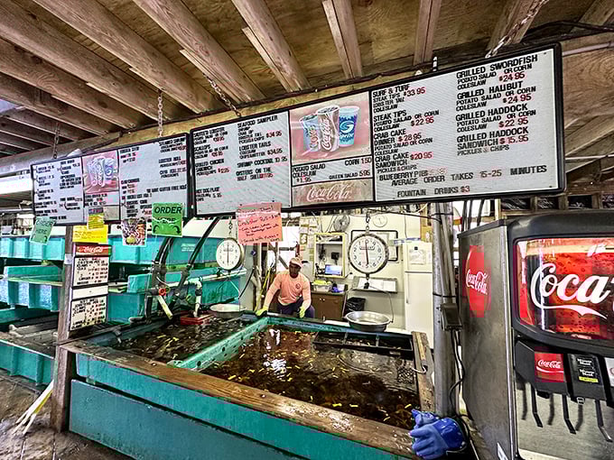 Underwater real estate at its finest. These tanks are the lobster equivalent of beachfront property &ndash; with a view to die for.