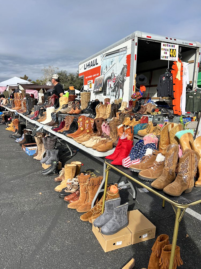 These boots were made for&hellip; everything! A cowboy's dream or a fashionista's playground, this footwear feast has something for every sole.