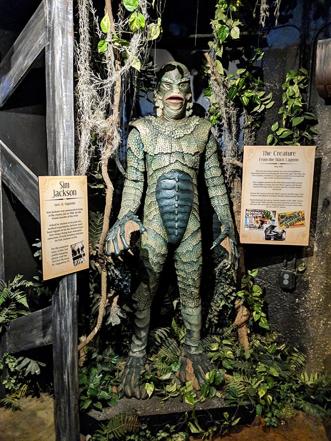 The Creature from the Black Lagoon emerges! He's looking a bit green around the gills, but hey, Florida humidity is rough on everyone.