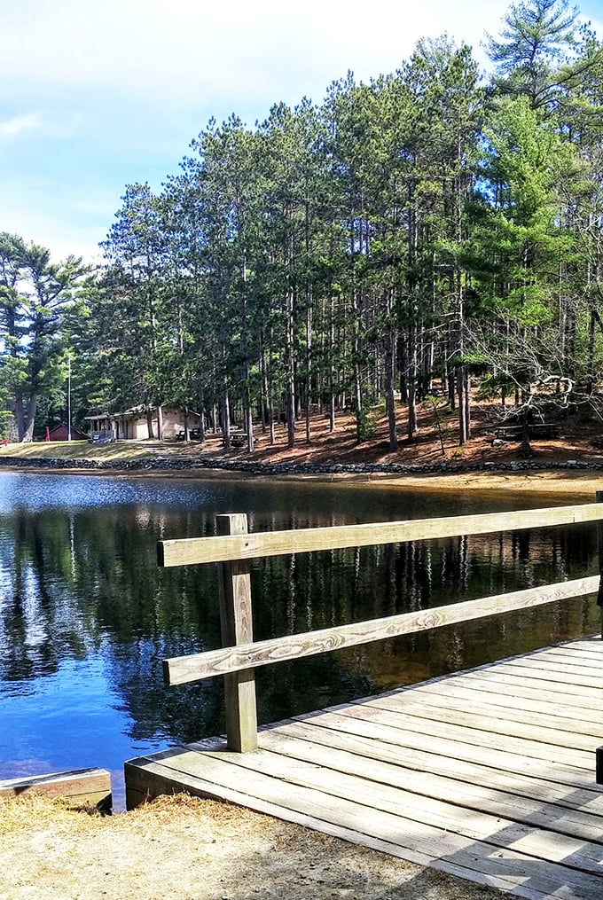 Trees standing tall like nature's skyscrapers. It's the concrete jungle's eco-friendly cousin, minus the honking taxis and pricy lattes.