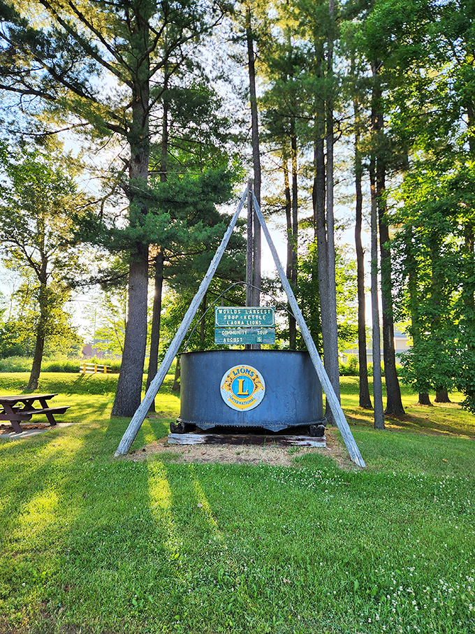 Surrounded by nature's skyscrapers, this kettle proves that in Wisconsin, even the soup comes with a side of fresh air.