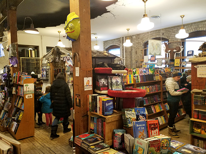 Forget the Dewey Decimal System &ndash; at Wild Rumpus, browsing is an art form. These book hunters are on a quest for their next great read.