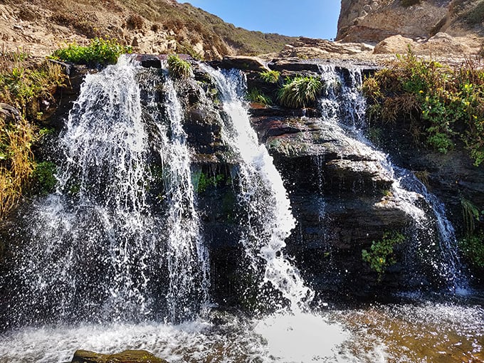 Alamere Falls: where fresh meets salt in a splash-tacular finale. Ocean views and waterfalls? Talk about overachieving!