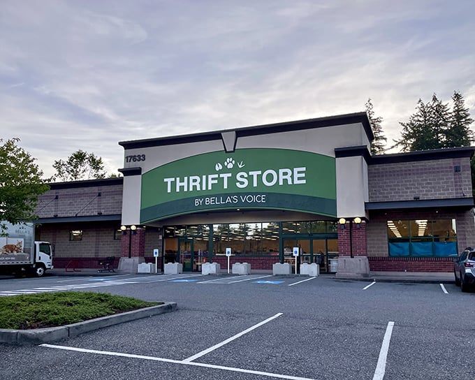 Bella's Voice: Where fashion meets compassion. It's like your coolest friend's closet, but you can actually buy stuff.