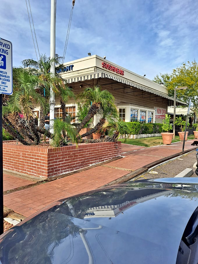 Bluewater Grill: Ocean vibes in the desert! It's like someone shrink-wrapped the Pacific and shipped it to Phoenix &ndash; freshness guaranteed.