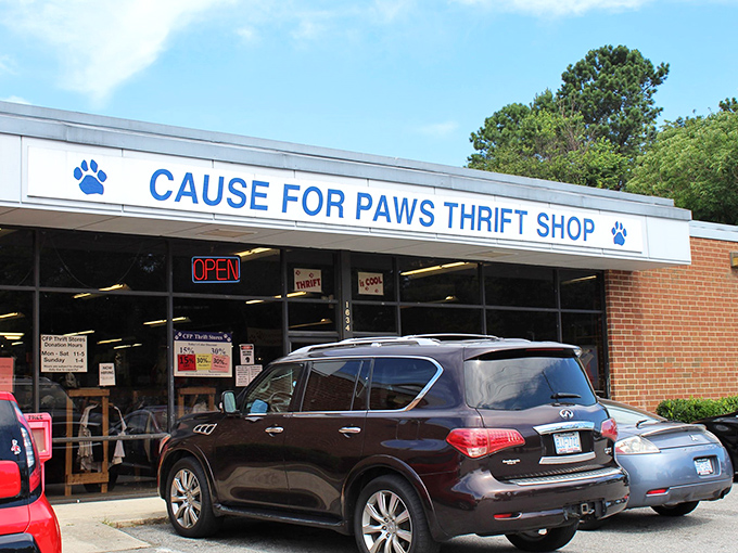 Cause for Paws: Where retail goes retriever! This pet-lover's paradise is packed with more tail-wagging deals than you can shake a stick at.