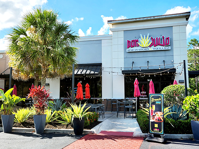 Don Julio: Where your abuela's cooking meets millennial Instagram dreams. Waterford Lakes never tasted so authentically filtered!