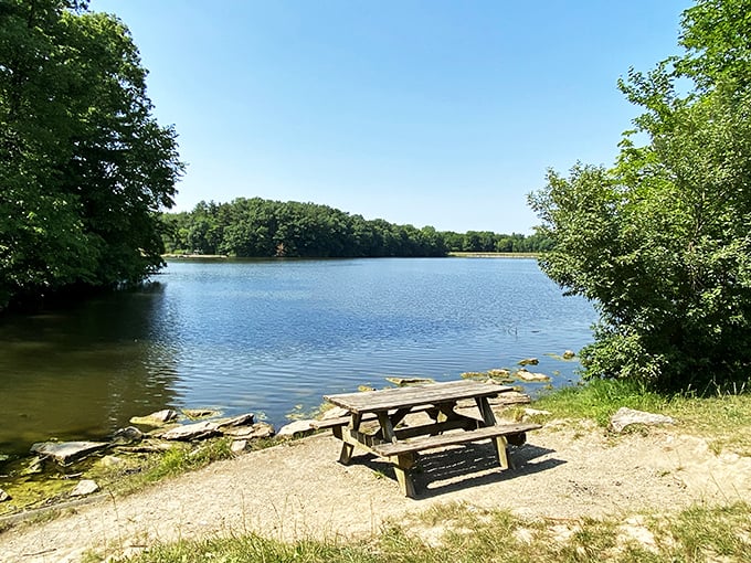Findley State Park's beach surprise: Proof that you don't need an ocean for a perfect beach day. Lake life at its finest!