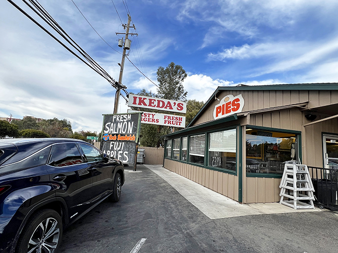 Ikeda's Market: Proof that sometimes the best things come in unassuming packages. A roadside revelation awaits!